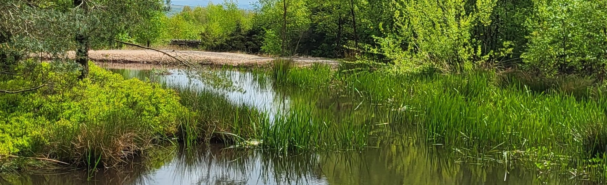Beacon Fell Country Park Outer Circular, Lancashire, England - 86 ...