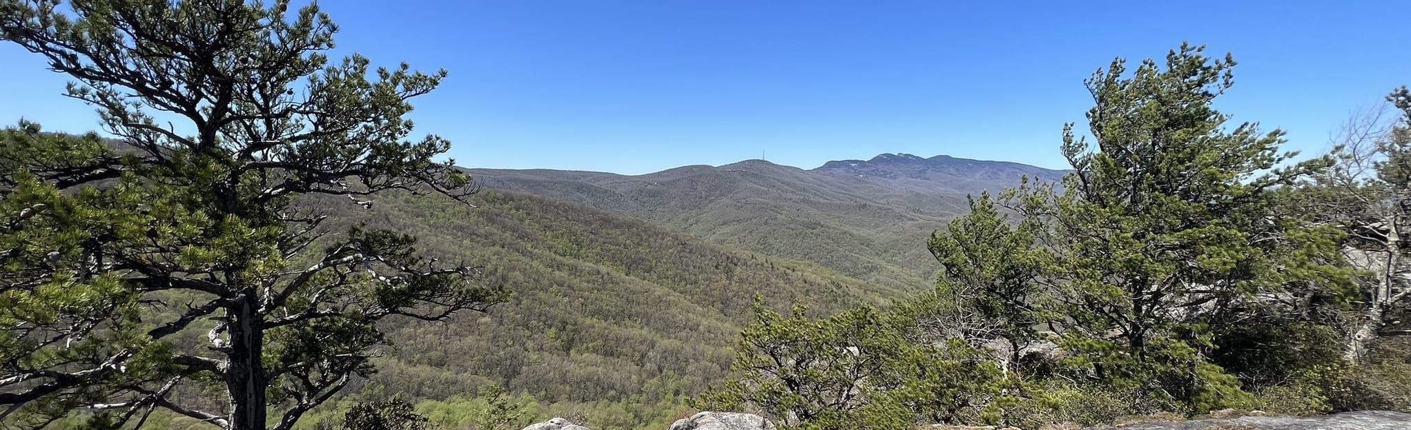 Little Lost Cove Cliffs: 122 Reviews, Map - North Carolina | AllTrails