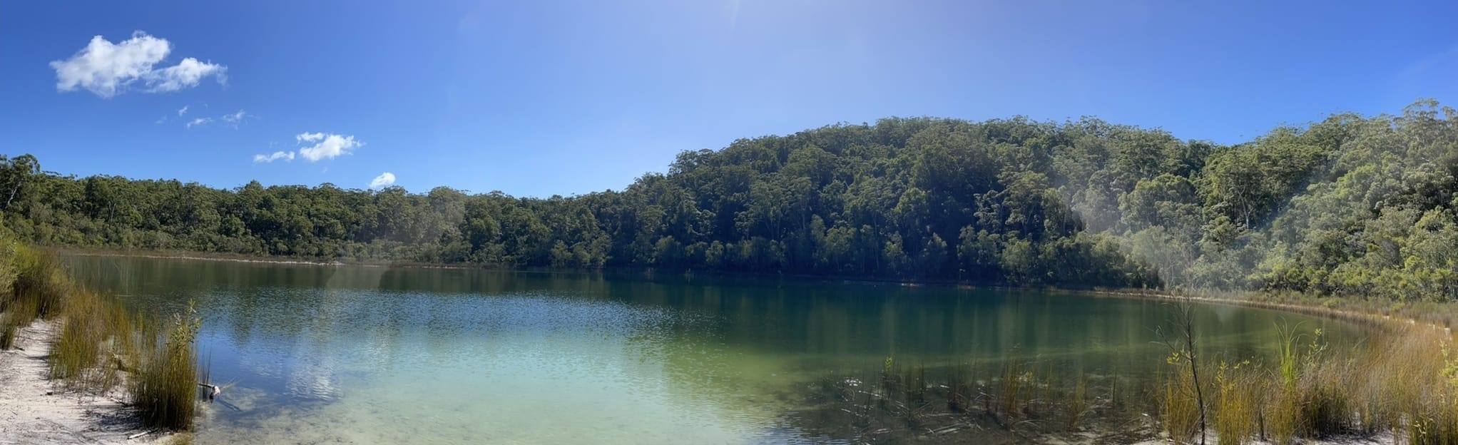 Basin Lake Track: 28 foto's - Queensland, Australië | Wandelen - AllTrails