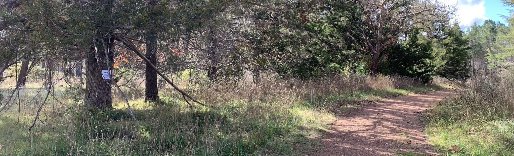 Blue Track Loop, New South Wales, Australia - 3 Reviews, Map | AllTrails