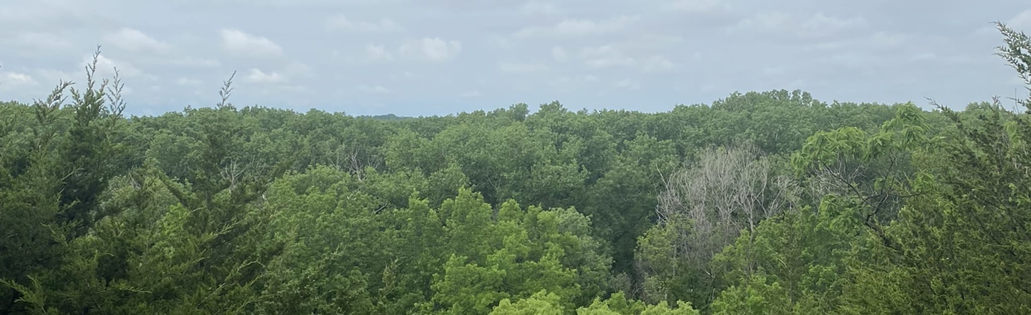 Camp Horizon Loop (Long): 72 Reviews, Map - Kansas | AllTrails