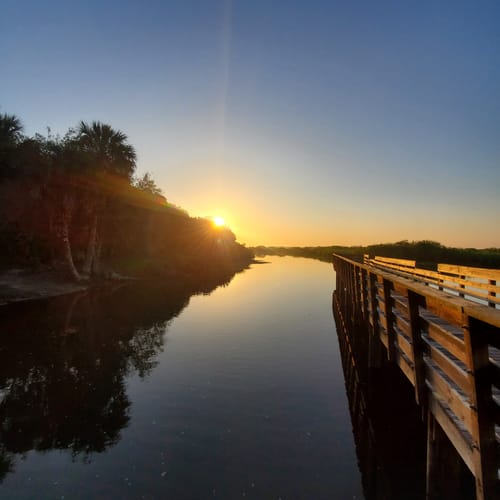 2023 Best Easy Trails in DeBary | AllTrails