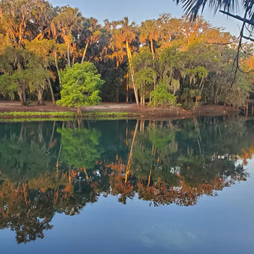 Best Hikes and Trails in Gemini Springs Park | AllTrails