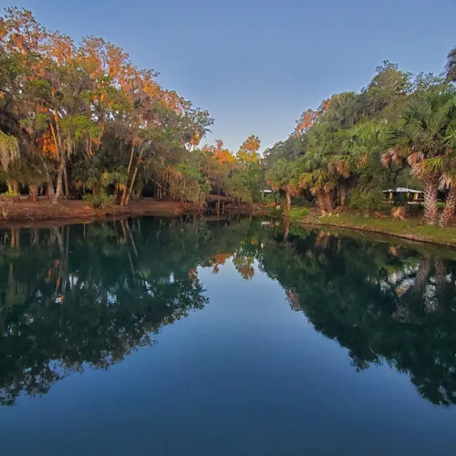 Best Hikes and Trails in Gemini Springs Park | AllTrails