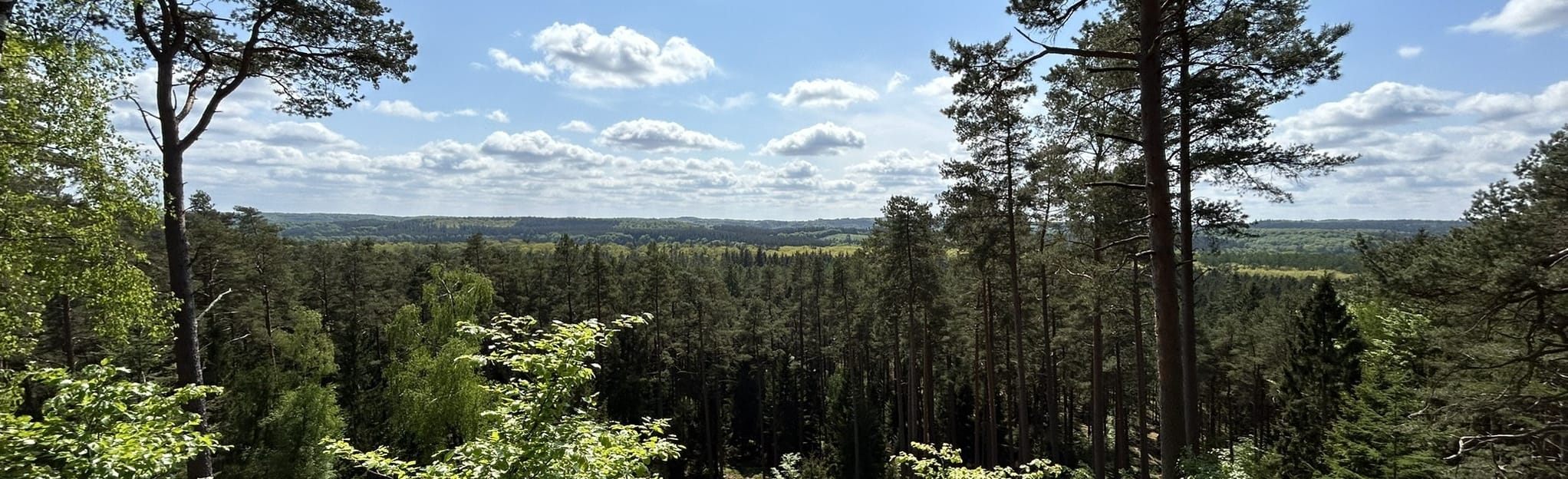 Nordskoven - Gul Rute: 9 Reviews, Map - Central Denmark, Denmark ...