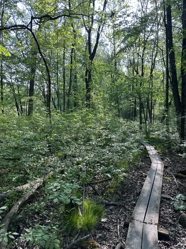 Best Hikes and Trails in Lillie Park | AllTrails