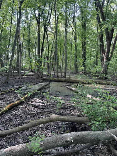 Best Hikes and Trails in Lillie Park | AllTrails