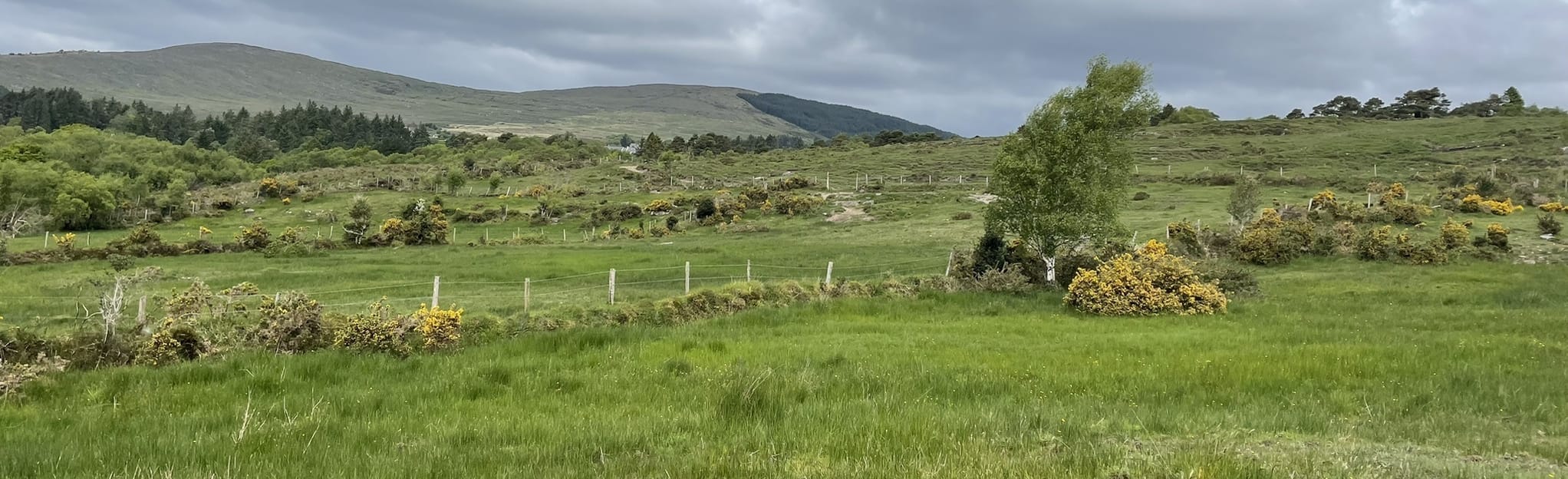 The Kerrry Way: Templenoe to Kenmare (Official): 70 Fotos - Kerry ...