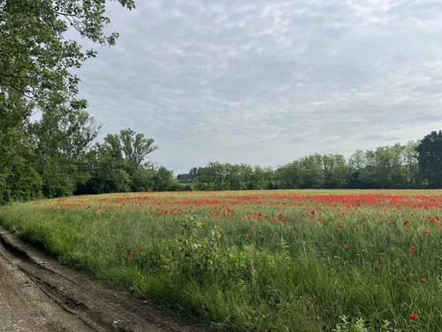 Parco Fluviale Regionale del Taro: de beste routes om te wandelen ...