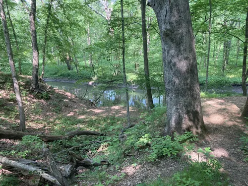 Best Hikes and Trails in Howard Virgin Timber Park | AllTrails