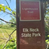 Turkey Point Lighthouse Trail, Maryland - 890 Reviews, Map | AllTrails