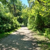 Turkey Point Lighthouse Trail, Maryland - 890 Reviews, Map | AllTrails