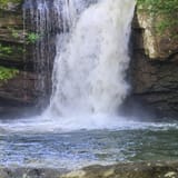 Savage Falls, Tennessee - 660 Reviews, Map | AllTrails