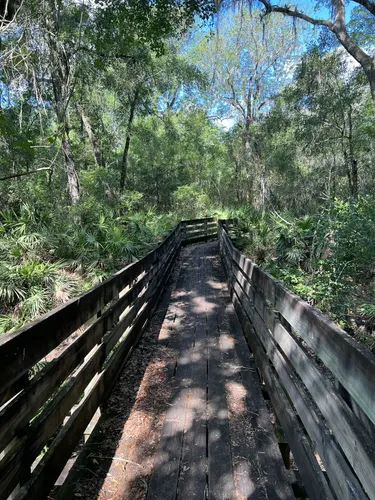Best Hikes and Trails in Cypress Lakes Preserve | AllTrails