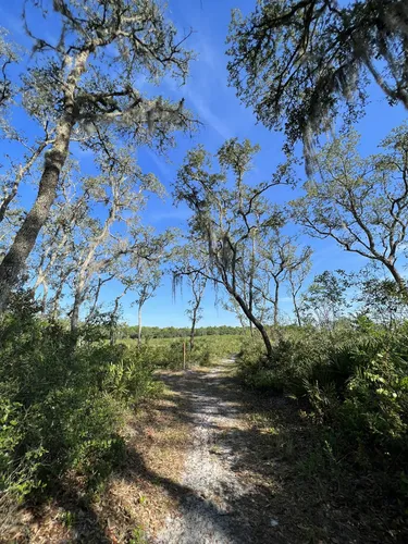 Best Hikes and Trails in Cypress Lakes Preserve | AllTrails