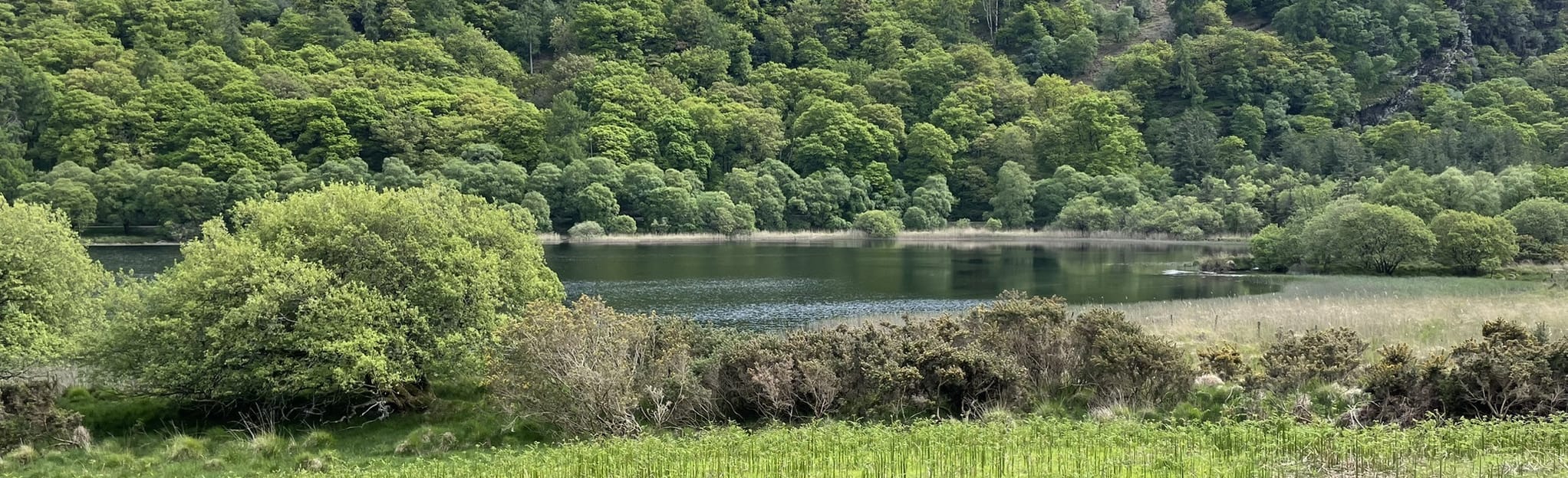 Glendalough Loop via The Spinc, County Wicklow, Ireland - 760 Reviews ...