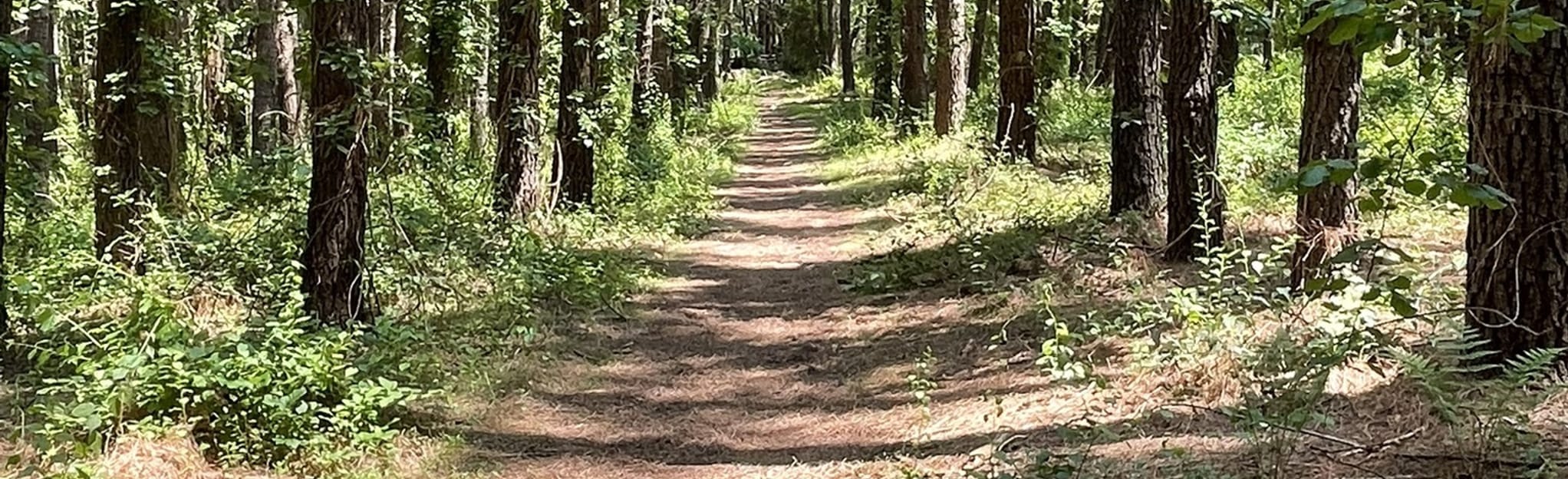 Cabin Branch Loop via Annapolis Rock Parking Area, Maryland - 151 ...