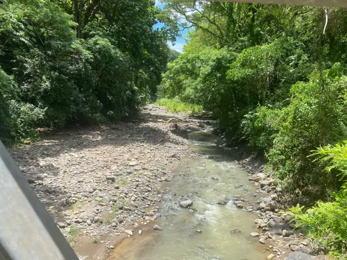 10 Best Mountain Biking Trails in Costa Rica | AllTrails