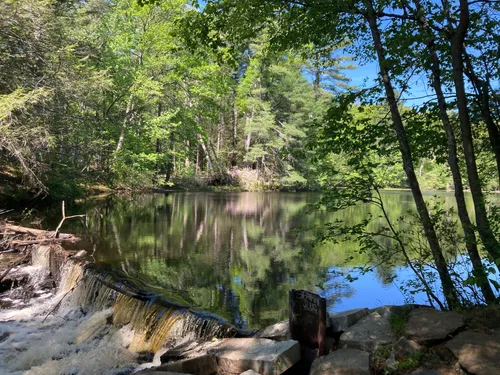 Best Hikes and Trails in Lockwood Forest | AllTrails