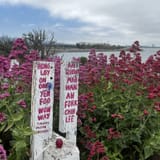 Albany Bulb, California - 357 Reviews, Map | AllTrails