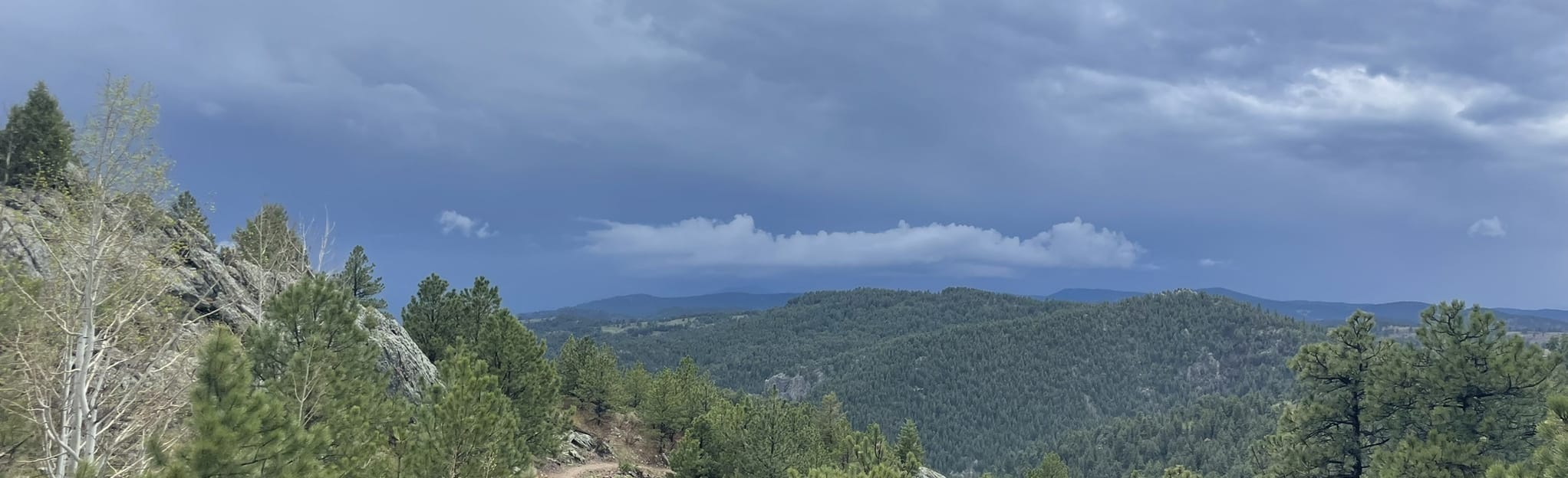 White Ranch Downhill MTB Trails: 50 Reviews, Map - Colorado | AllTrails