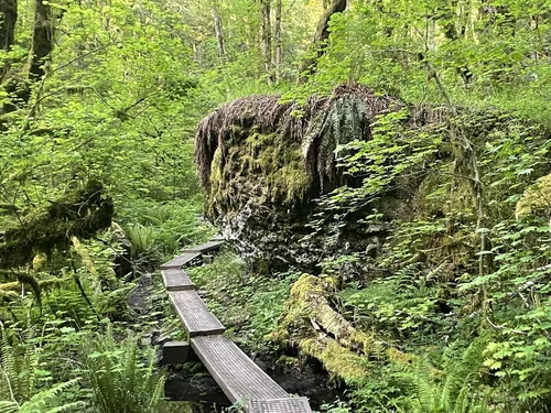 10 Best Trails and Hikes in Issaquah | AllTrails