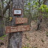 Frye Mountain via Georges Highland Path, Maine - 40 Reviews, Map ...