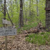 Frye Mountain via Georges Highland Path, Maine - 40 Reviews, Map ...