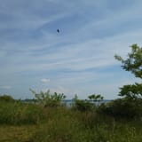 Turkey Point Lighthouse Trail, Maryland - 851 Reviews, Map | AllTrails