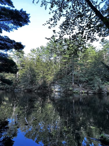 Best Hikes and Trails in Indian Brook Park | AllTrails