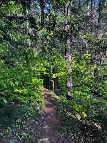 Best Hikes and Trails in Indian Brook Park | AllTrails