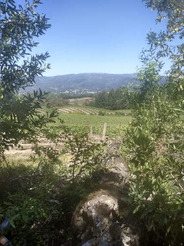 Best Hikes and Trails in Bothe-Napa Valley State Park | AllTrails