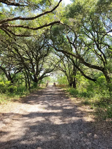 2023 Best Walking Trails in Lower Green Swamp Nature Preserve | AllTrails