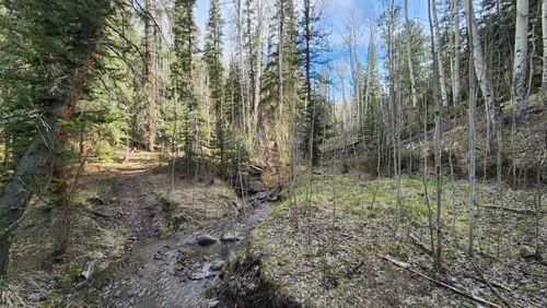 Best Off Road Driving Trails in South Fork | AllTrails