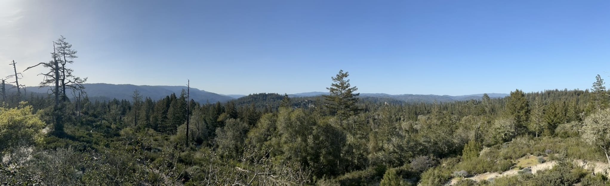 Bear Mountain and Observation Tower, California - 95 Reviews, Map ...