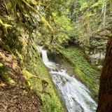 Racehorse Falls Trail, Washington - 387 Reviews, Map | AllTrails