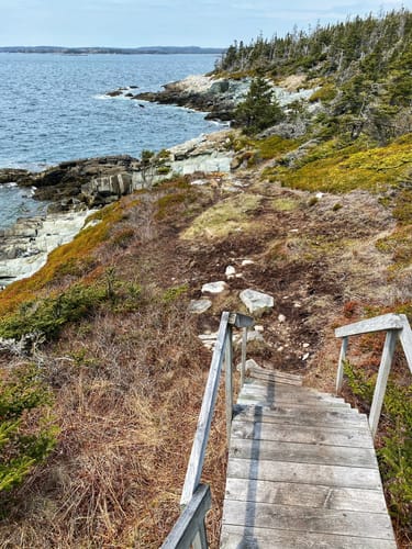 Best Hikes and Trails in Taylor Head Provincial Park | AllTrails