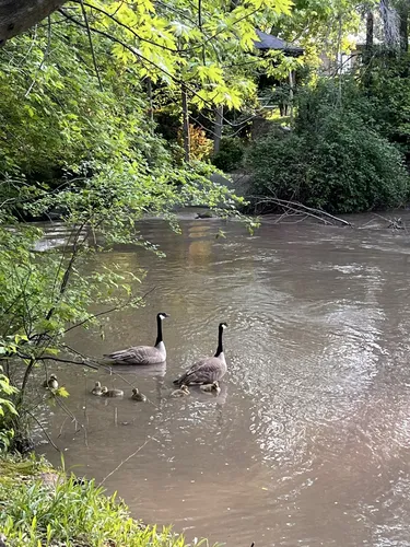 Best Hikes and Trails in Layton Commons Park | AllTrails