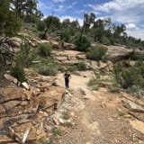 Spruce Canyon Trail, Colorado - 280 Reviews, Map | AllTrails