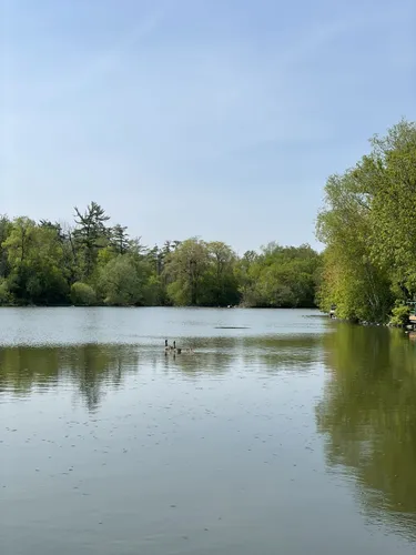 10 Best Trails and Hikes in Richmond Hill | AllTrails