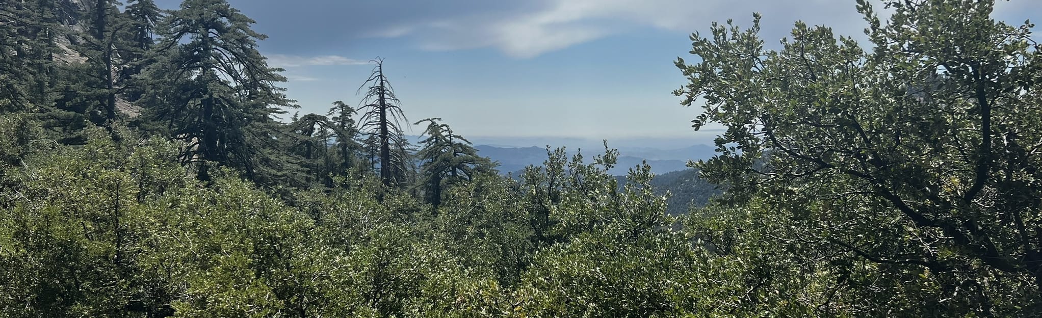 AllTrails | Tahquitz Peak via Devil's Slide and Caramba Trail: 403 ...