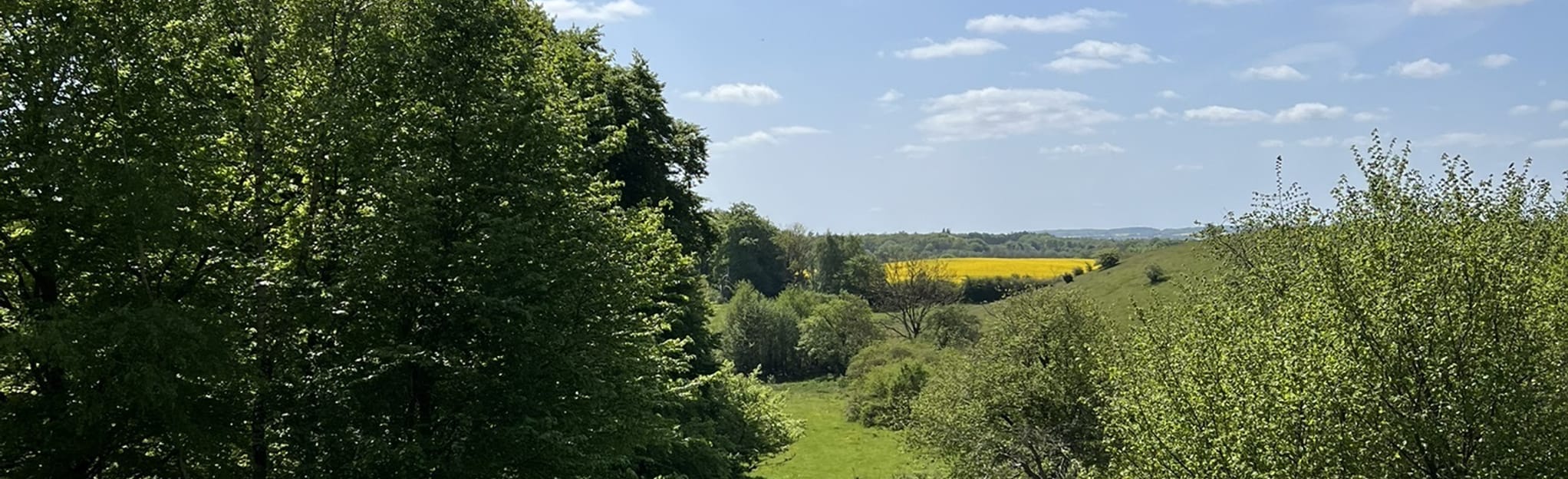 Ryegaard Dyrehave - Bjørnemose: 2 Reviews, Map - Zealand, Denmark ...