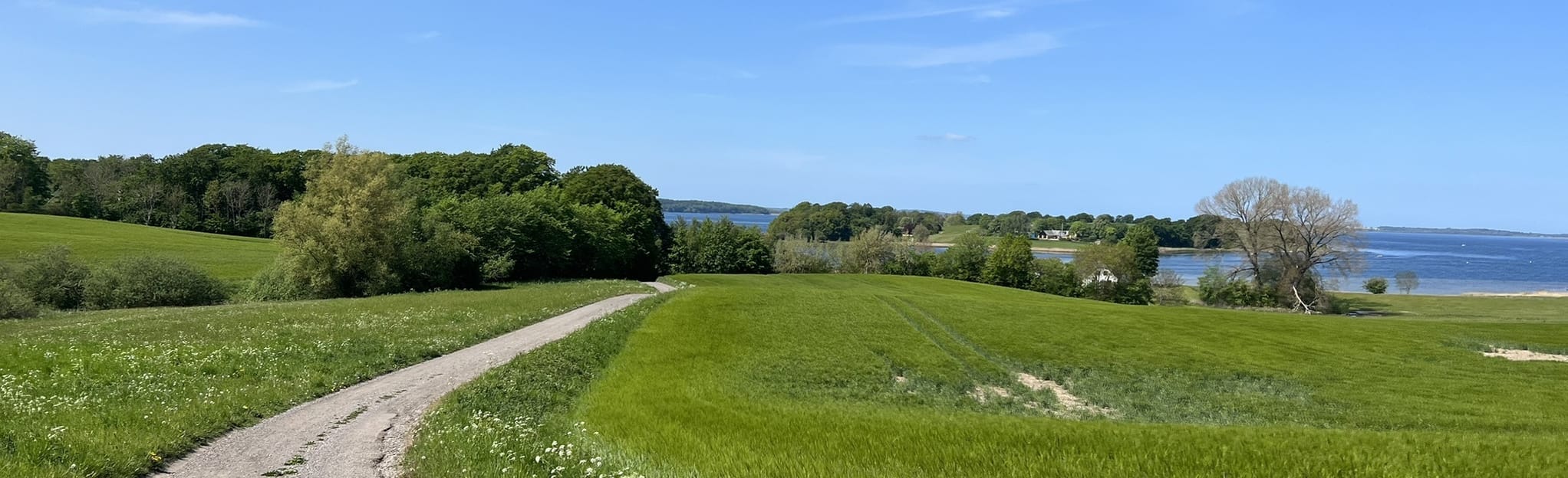 Munkholm - Ryegaard Dyrehave: 135 foto's - Seeland, Denemarken | AllTrails