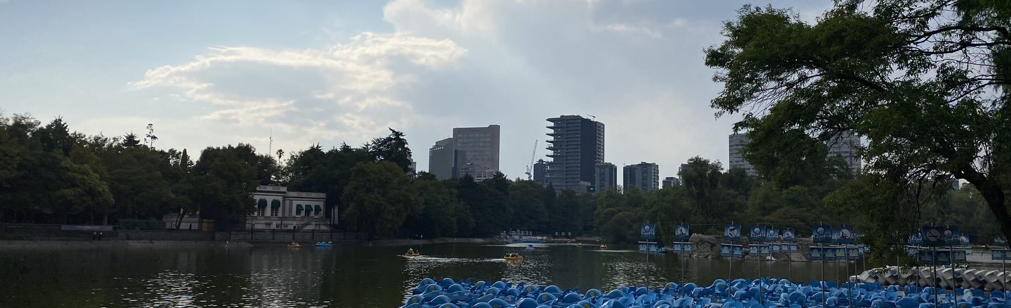 La Roma - La Basilica CDMX, State of Mexico, Mexico - 5 Reviews, Map ...