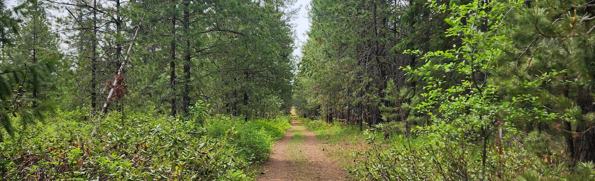 Missile Silo Loop: 110 foto - Washington | AllTrails