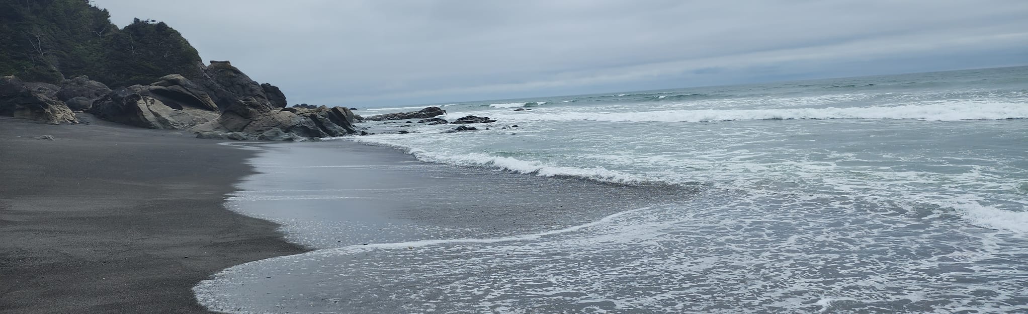 Kalaloch 3rd Beach Trail: 31 Reviews, Map - Washington | AllTrails