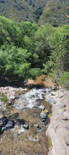 Best Hikes and Trails in Sycuan Indian Reservation | AllTrails