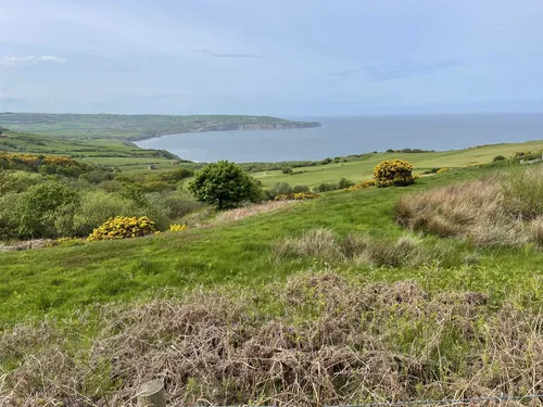 10 Best Walking Trails in Whitby | AllTrails