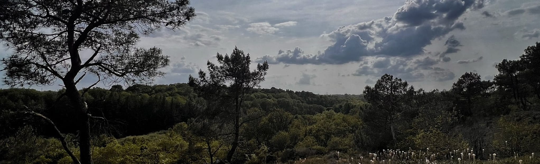 Rochefort-en-Terre - Le Pont aux Roux, Morbihan, France - 7 Reviews ...