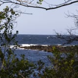 Timber Point, Maine - 324 Reviews, Map | AllTrails